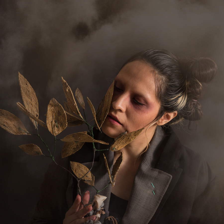 Boletópolis - La Balada de Bacurab