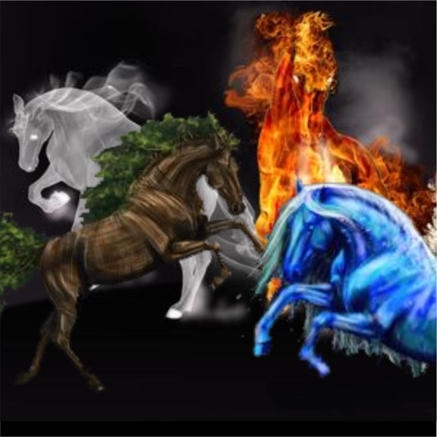 Boletópolis - ELEMENTZ Espectáculo Ecuestre