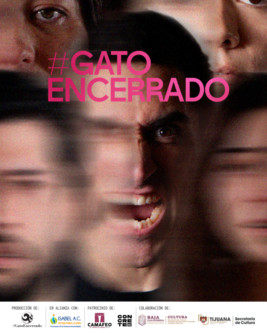 Boletópolis - #GatoEncerrado